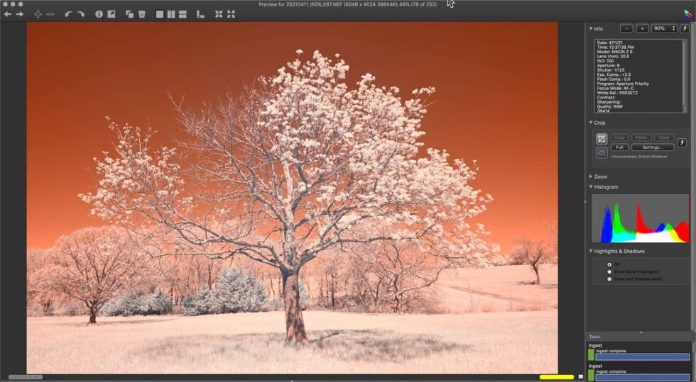 Why and How to do infrared photography - Reed Hoffmann