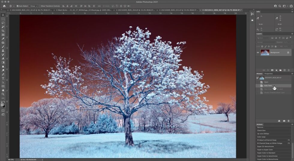 Why and How to do infrared photography - Reed Hoffmann