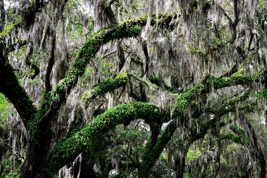 Jewels of the South Photography Trip - Reed Hoffmann