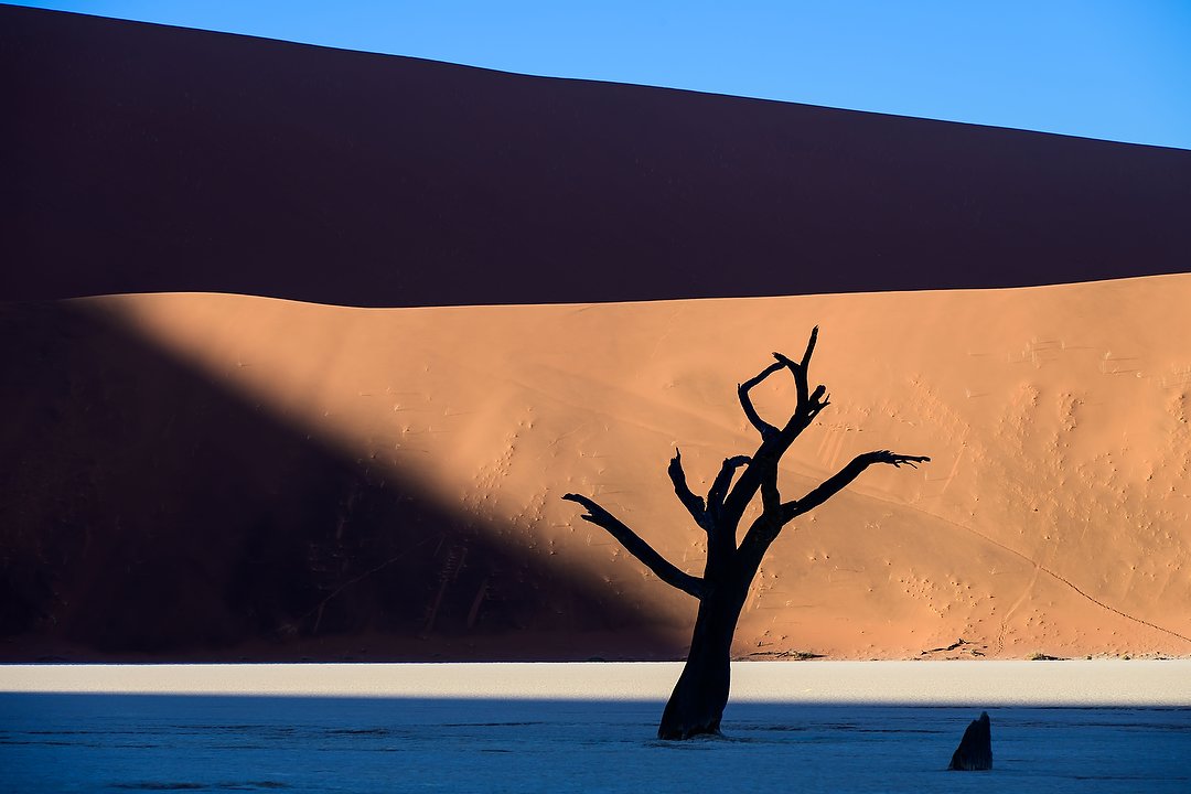 Namibia Photography Adventure - Reed Hoffmann